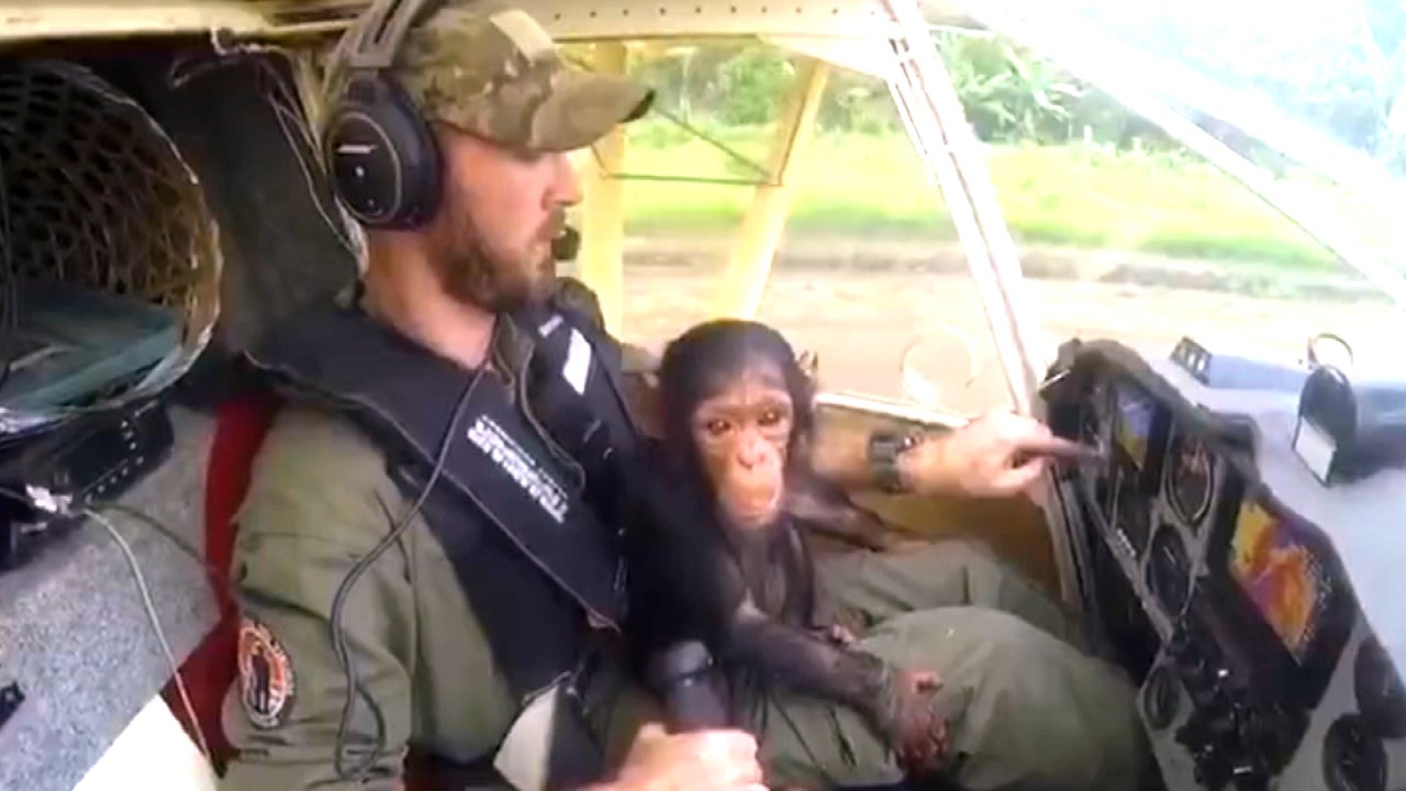 Rescued Chimp Is Eager Co-Pilot in Flight to Sanctuary | Inside Edition