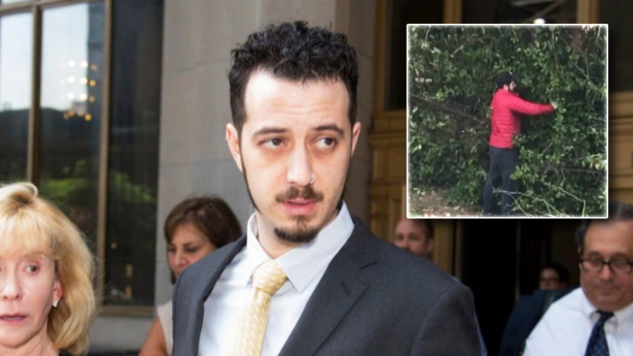 Ex-'Top Chef' Contestant Adam Harvey Accused of Poisoning Tree That Was ...