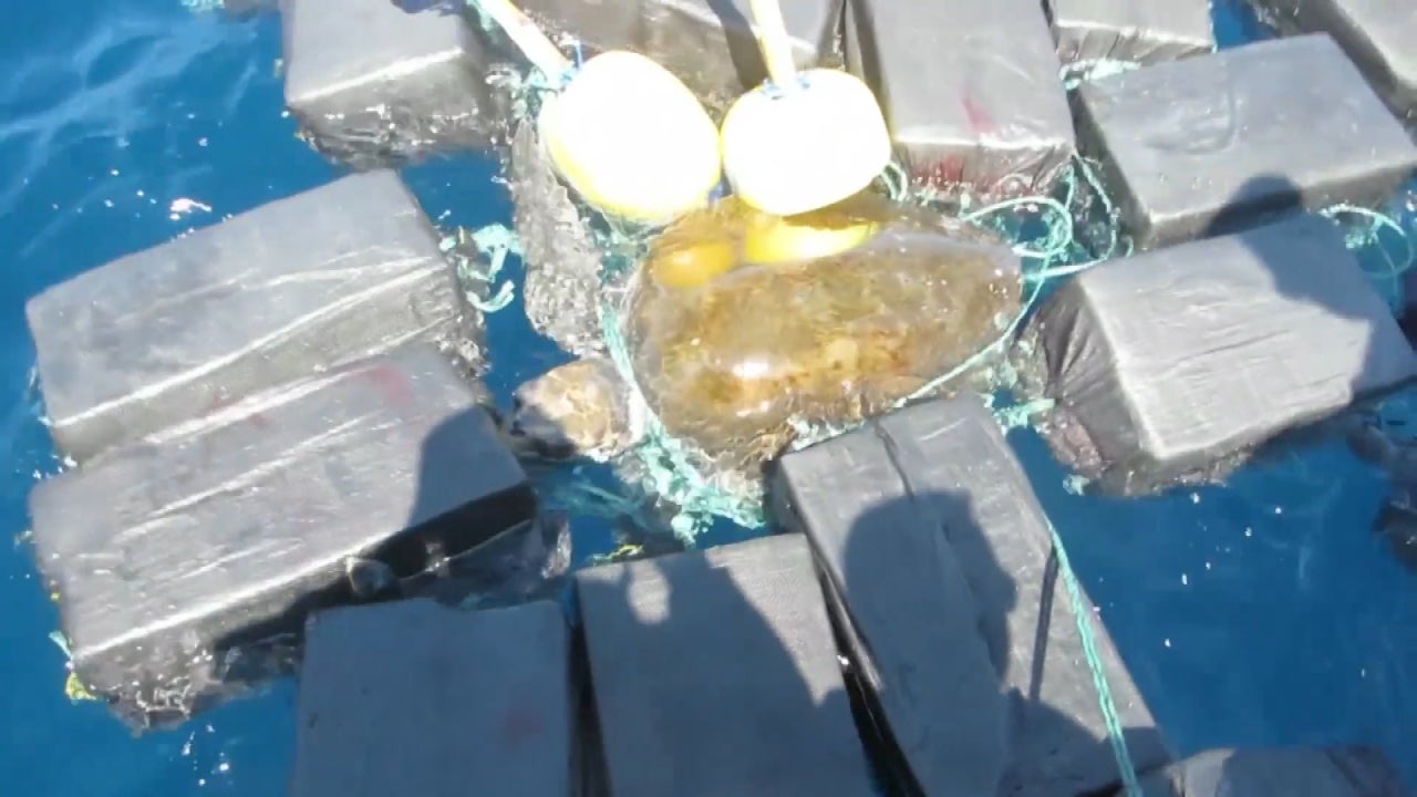 Coast Guard Finds Endangered Sea Turtle Trapped in 1,800 Pounds of ...