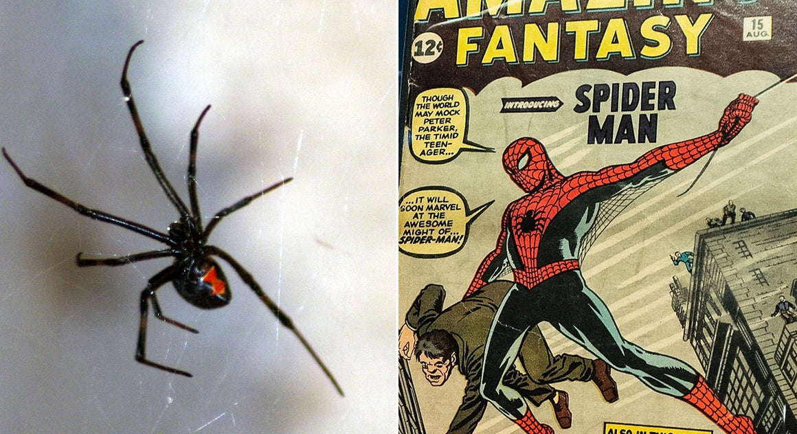 Radioactive Spider Spiderman