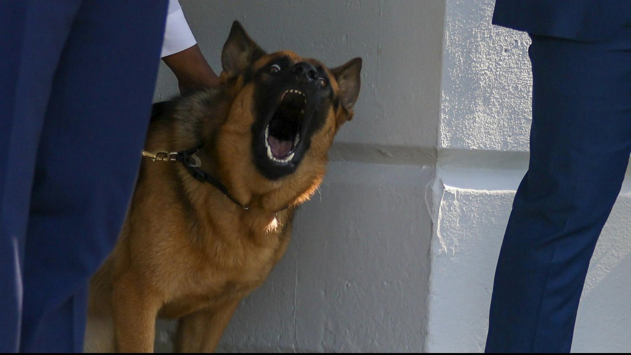 Kristi Noem Suggests She Would Have Shot Joe Biden’s Dog | Inside Edition