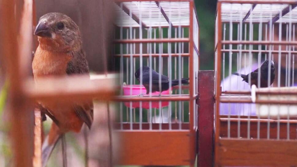 south america - Articles, Videos, Photos and More | Inside Edition