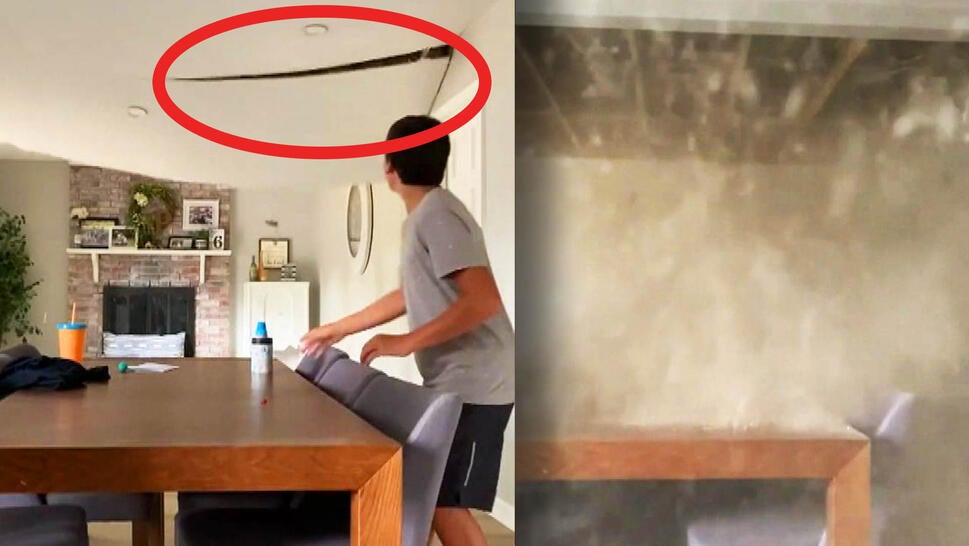 caught on camera - Articles, Videos, Photos and More | Inside Edition