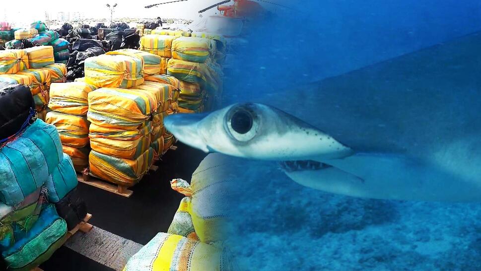 Entertainment - Articles, Videos, Photos and More | Inside Edition