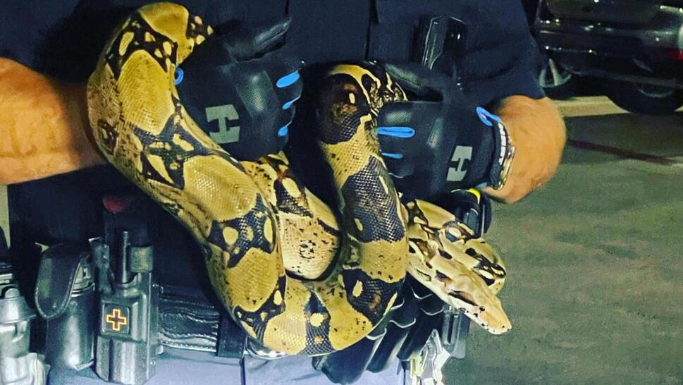 police - Articles, Videos, Photos and More | Inside Edition