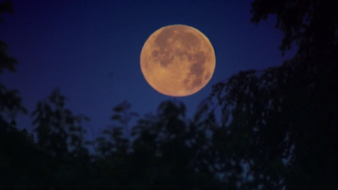 NASA to Pay Company $1 to Collect 'Moon Soil' | Inside Edition