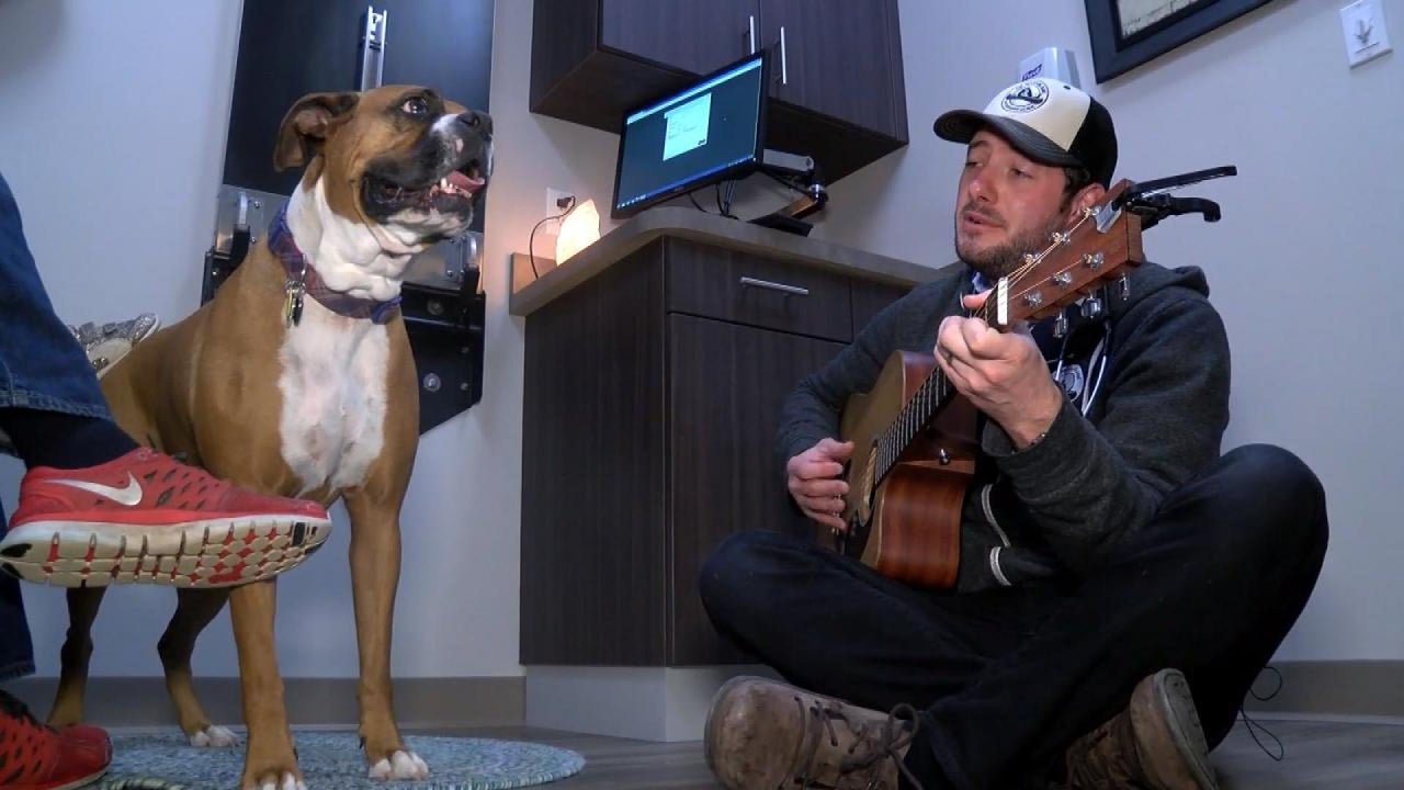 Veterinarian Sings to Patients as an Unconventional Treatment | Inside ...