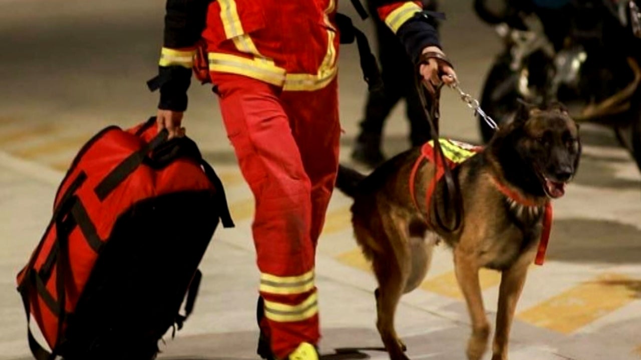 Mexico Sends Canine and Human Rescue Team to Help in Turkey and Syria ...