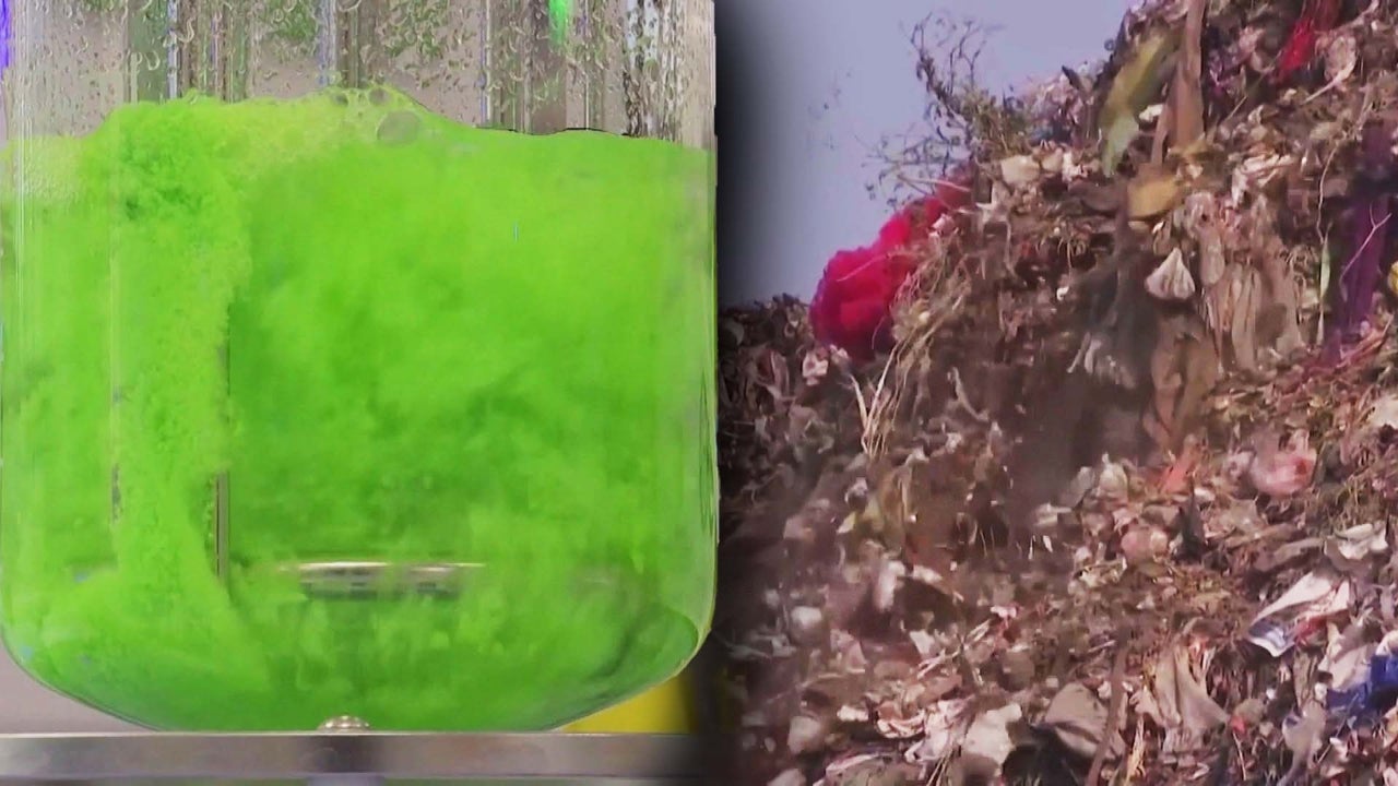 Scientists Want to Reduce Landfill Waste With Enzymes to Break Down ...